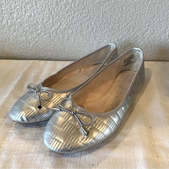 Danskin | Shoes | Danskin Silver Adore Ballet Flats | Poshmark